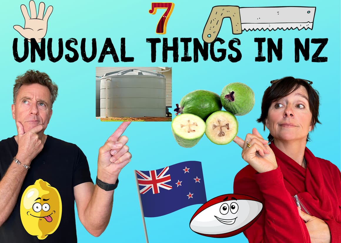 Seriously?? 7 Unusual Things (You'll Only Find) in New Zealand